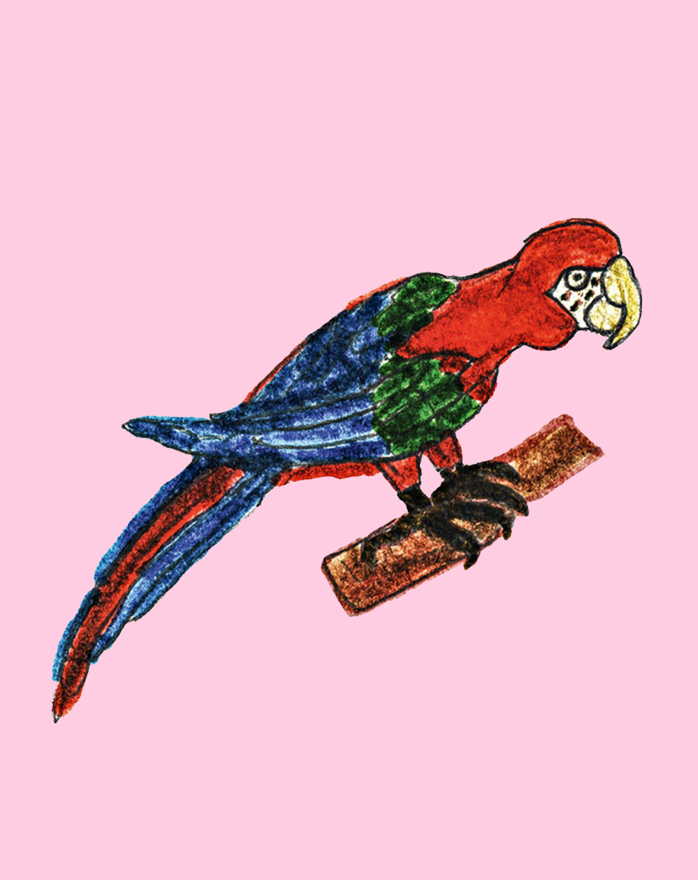 Arquivo de 08 Extinção - Piseagrama